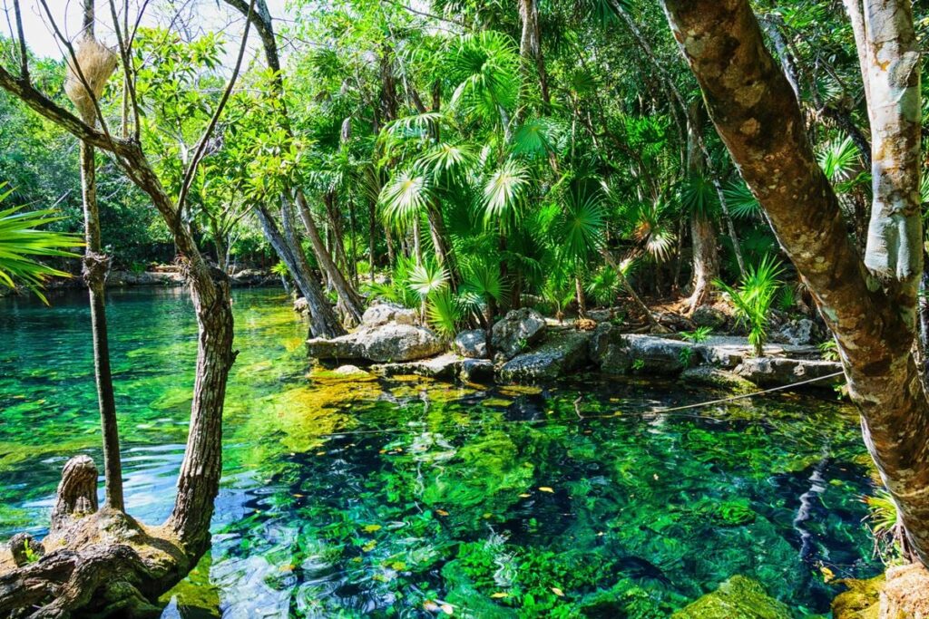 5 impresionantes cenotes cerca de Cancún para escapar del sargazo - Sal ...